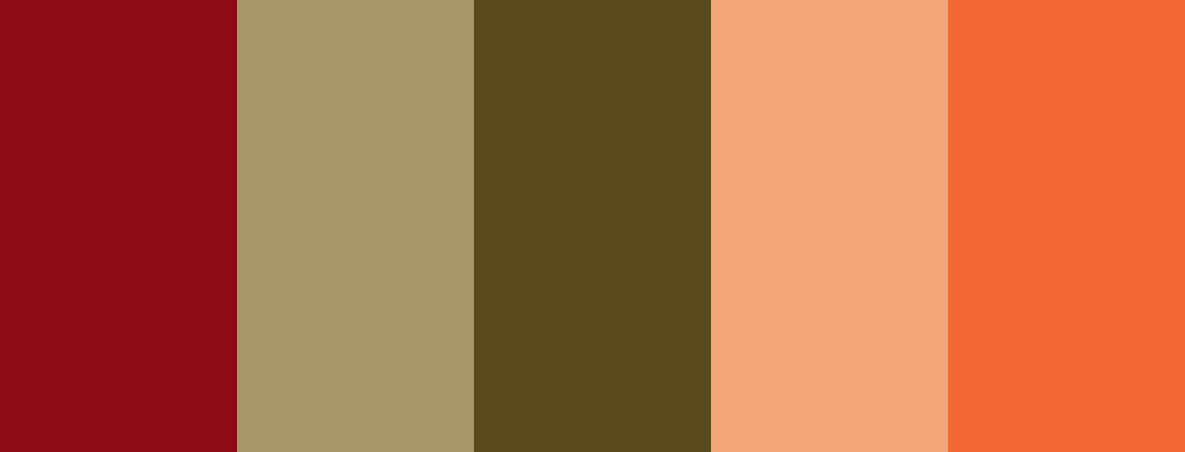 Boho color palette - Aesthetic Color Palette