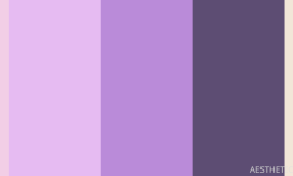 Purple Color Palettes - Aesthetic Color Palette