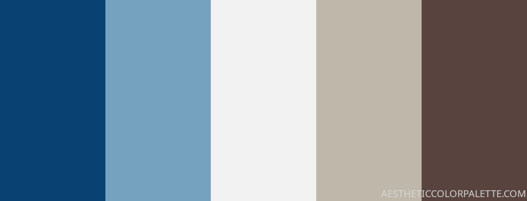 28 Blue White Color Palettes to Love - Aesthetic Color Palette