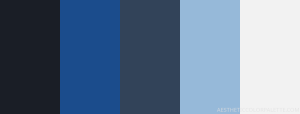 28 Blue White Color Palettes to Love - Aesthetic Color Palette