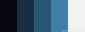 20 Dark Blue Color Palettes for Designing - Aesthetic Color Palette