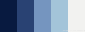 Ink Blue Color Palettes: 21 Must-See Ideas - Aesthetic Color Palette