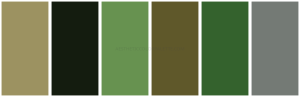 Bamboo Color Palettes - Aesthetic Color Palette