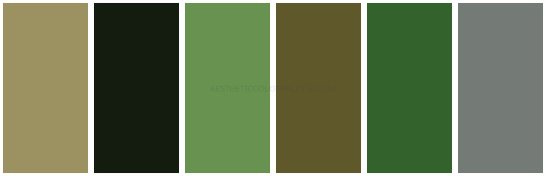 Bamboo Color Palettes - Aesthetic Color Palette