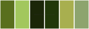 Bamboo Color Palettes - Aesthetic Color Palette