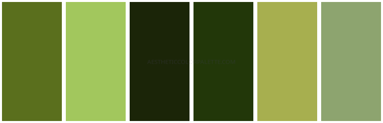 Bamboo Color Palettes - Aesthetic Color Palette