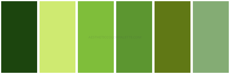 Bamboo Color Palettes - Aesthetic Color Palette