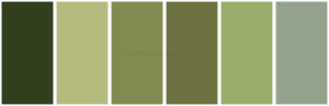 Bamboo Color Palettes - Aesthetic Color Palette