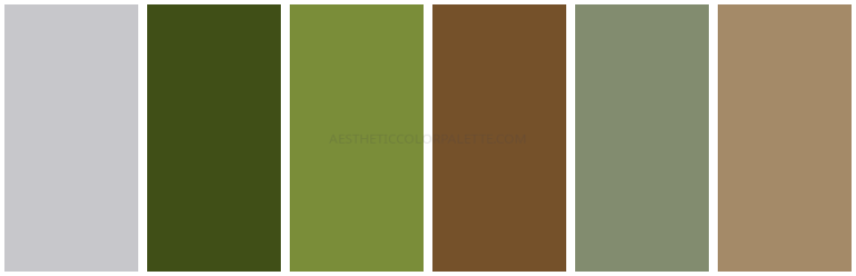 Bamboo Color Palettes - Aesthetic Color Palette