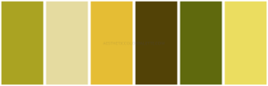 Bamboo Color Palettes - Aesthetic Color Palette
