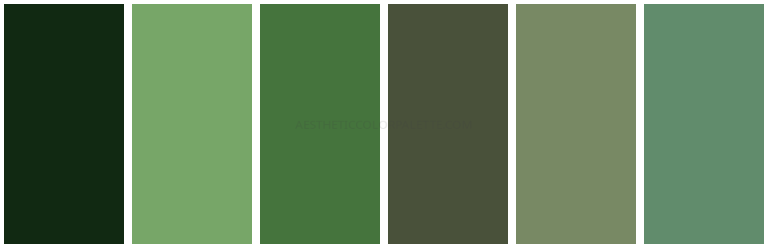 Bamboo Color Palettes - Aesthetic Color Palette
