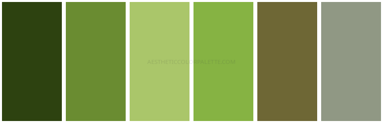 Bamboo Color Palettes - Aesthetic Color Palette