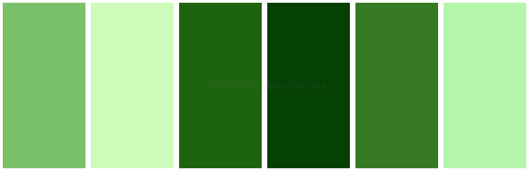 Bamboo Color Palettes - Aesthetic Color Palette