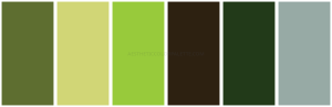 Bamboo Color Palettes - Aesthetic Color Palette