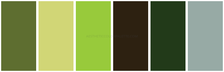 Bamboo Color Palettes - Aesthetic Color Palette