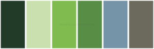 Bamboo Color Palettes - Aesthetic Color Palette