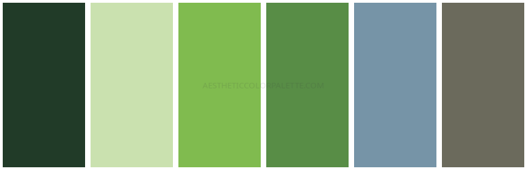 Bamboo Color Palettes - Aesthetic Color Palette