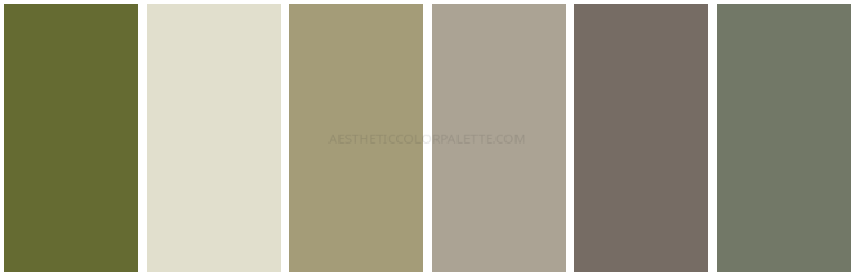 Bamboo Color Palettes - Aesthetic Color Palette