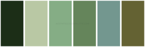 Bamboo Color Palettes - Aesthetic Color Palette