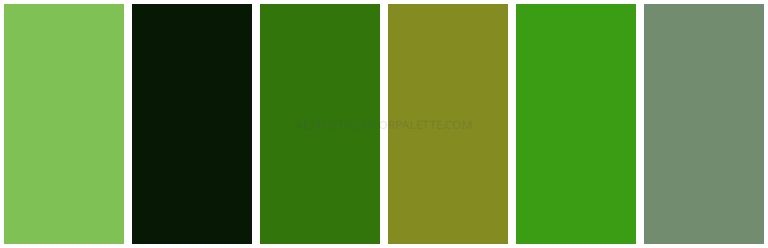 Bamboo Color Palettes - Aesthetic Color Palette