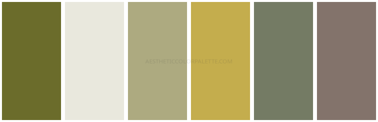 Bamboo Color Palettes - Aesthetic Color Palette