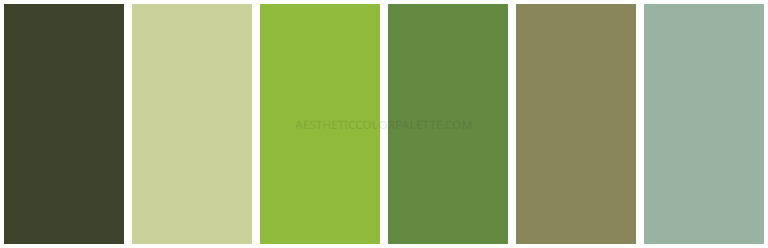 Bamboo Color Palettes - Aesthetic Color Palette