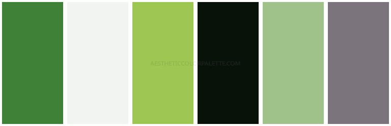 Bamboo Color Palettes - Aesthetic Color Palette