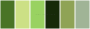 Bamboo Color Palettes - Aesthetic Color Palette