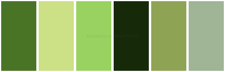 Bamboo Color Palettes - Aesthetic Color Palette