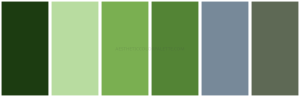 Bamboo Color Palettes - Aesthetic Color Palette