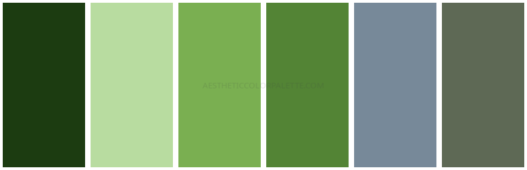 Bamboo Color Palettes - Aesthetic Color Palette