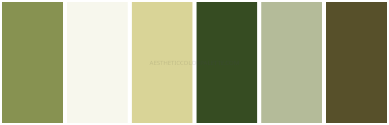 Bamboo Color Palettes - Aesthetic Color Palette