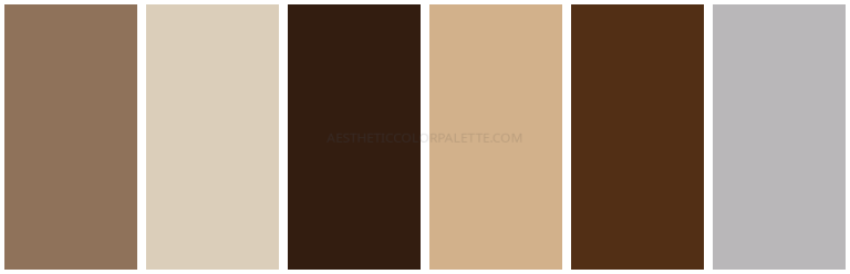 Brown Aesthetic Color Palettes - Aesthetic Color Palette