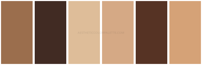Brown Aesthetic Color Palettes - Aesthetic Color Palette