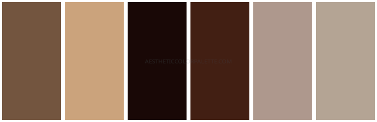 Brown Aesthetic Color Palettes - Aesthetic Color Palette