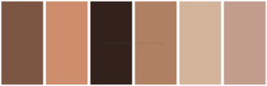 Brown Aesthetic Color Palettes - Aesthetic Color Palette