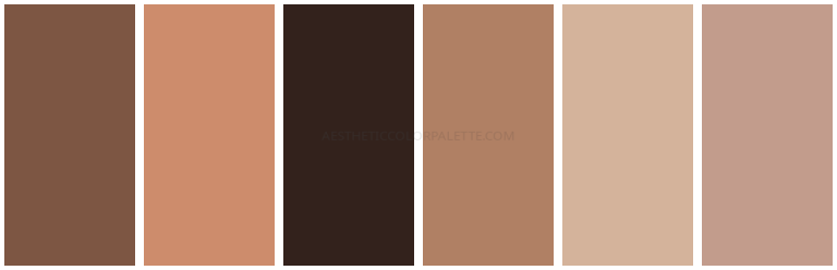 Brown Aesthetic Color Palettes - Aesthetic Color Palette