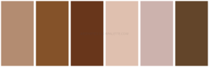Brown Aesthetic Color Palettes - Aesthetic Color Palette