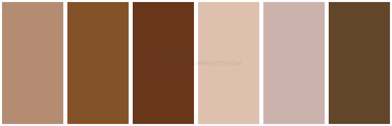 Brown Aesthetic Color Palettes - Aesthetic Color Palette