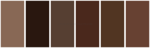 Brown Aesthetic Color Palettes - Aesthetic Color Palette