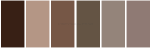 Brown Aesthetic Color Palettes - Aesthetic Color Palette