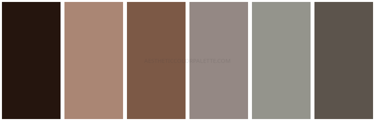 Brown Aesthetic Color Palettes - Aesthetic Color Palette