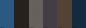 Brown Blue Color Palettes - Aesthetic Color Palette