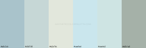 Dusty Blue Color Palettes - Aesthetic Color Palette