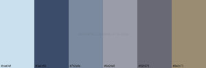 Dusty Blue Color Palettes - Aesthetic Color Palette