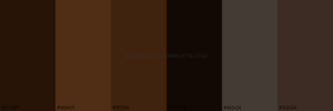 Brown Color palettes - Aesthetic Color Palette