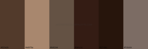 Brown Color palettes - Aesthetic Color Palette