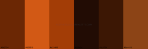 Brown Color palettes - Aesthetic Color Palette