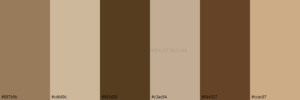 Brown Color palettes - Aesthetic Color Palette