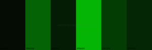 Dark Green Color Palettes - Aesthetic Color Palette